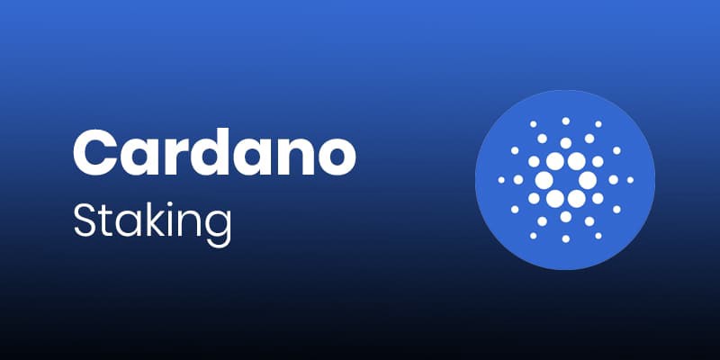 Cardano Staking: Practical Information